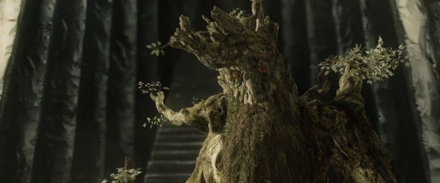 Ents Lord Of The Rings
